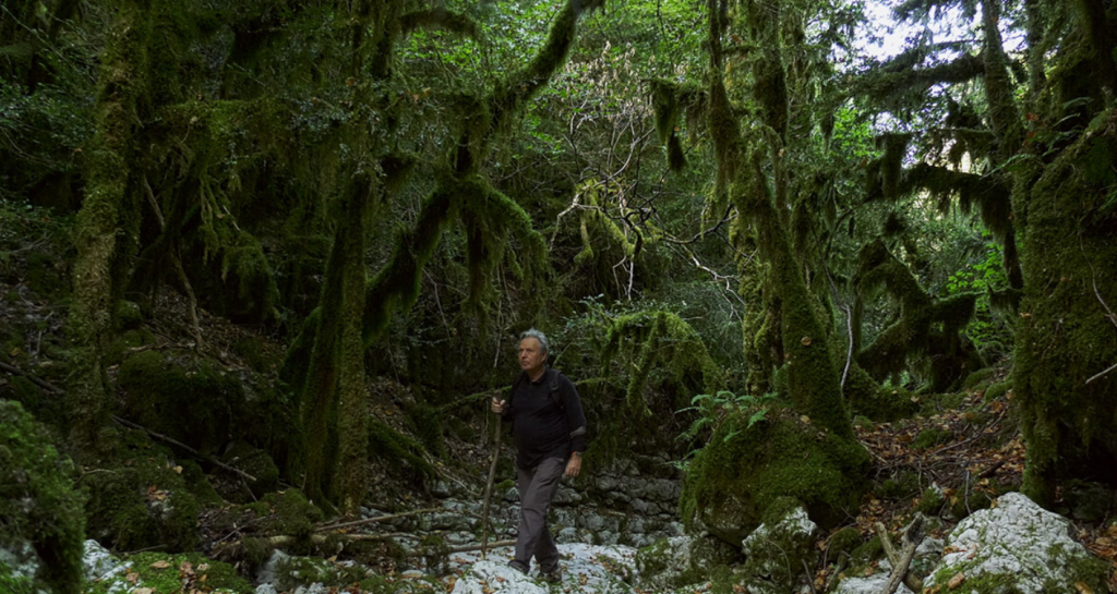 Jacques Joubert, enseignant, auteur, réalisateur - Concertina ...