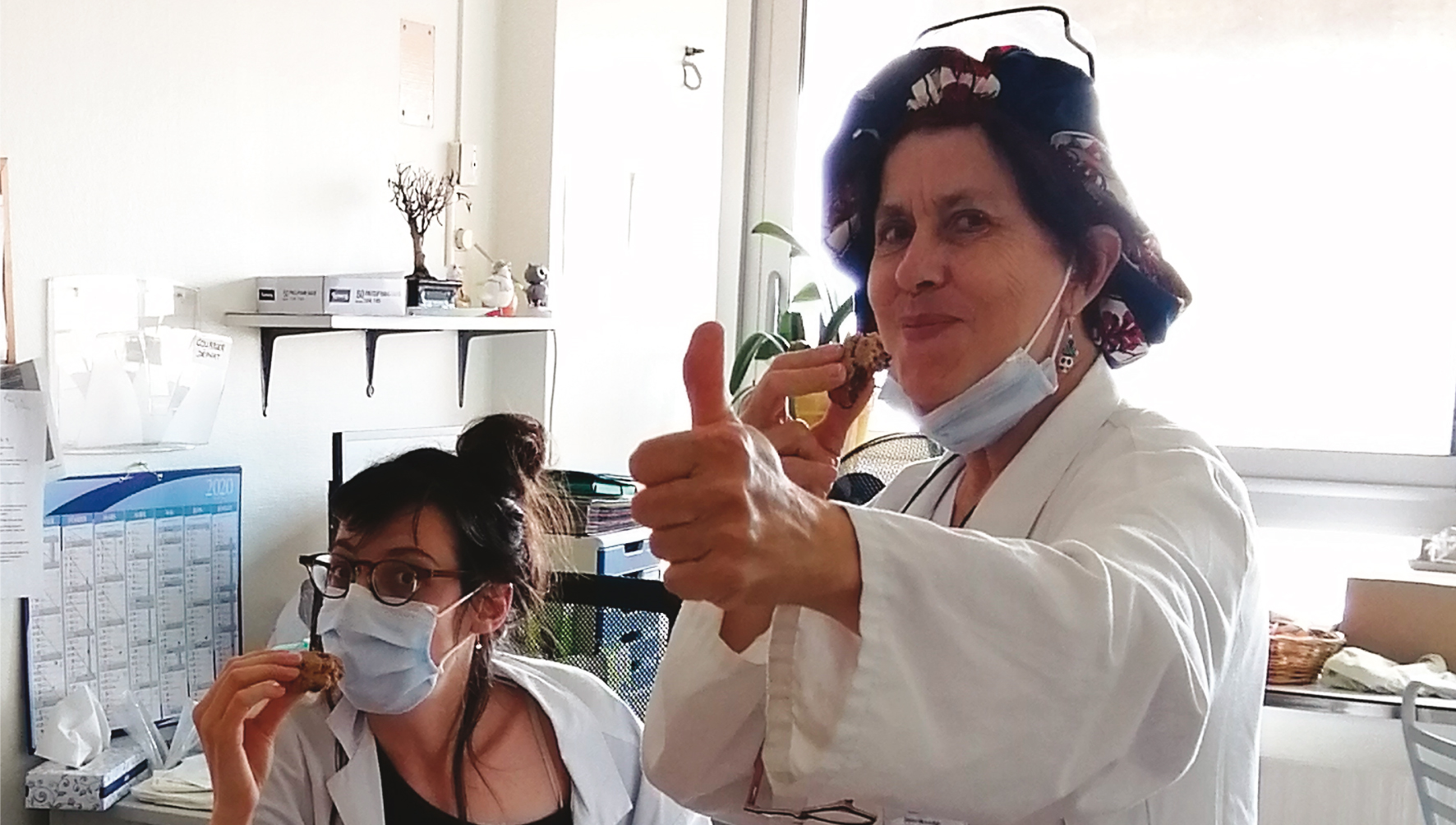 Isabelle Marin - Concertina Rencontres